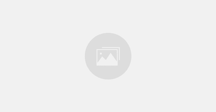 Analyzing Foreign Exchange and Investment - Research Paper 101